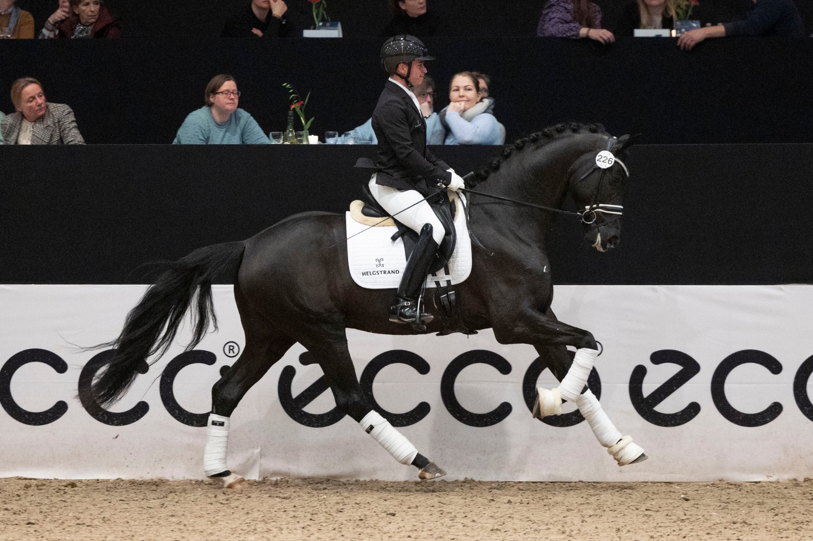 Dansk Varmblod | Helgstrand Dressage | Heste