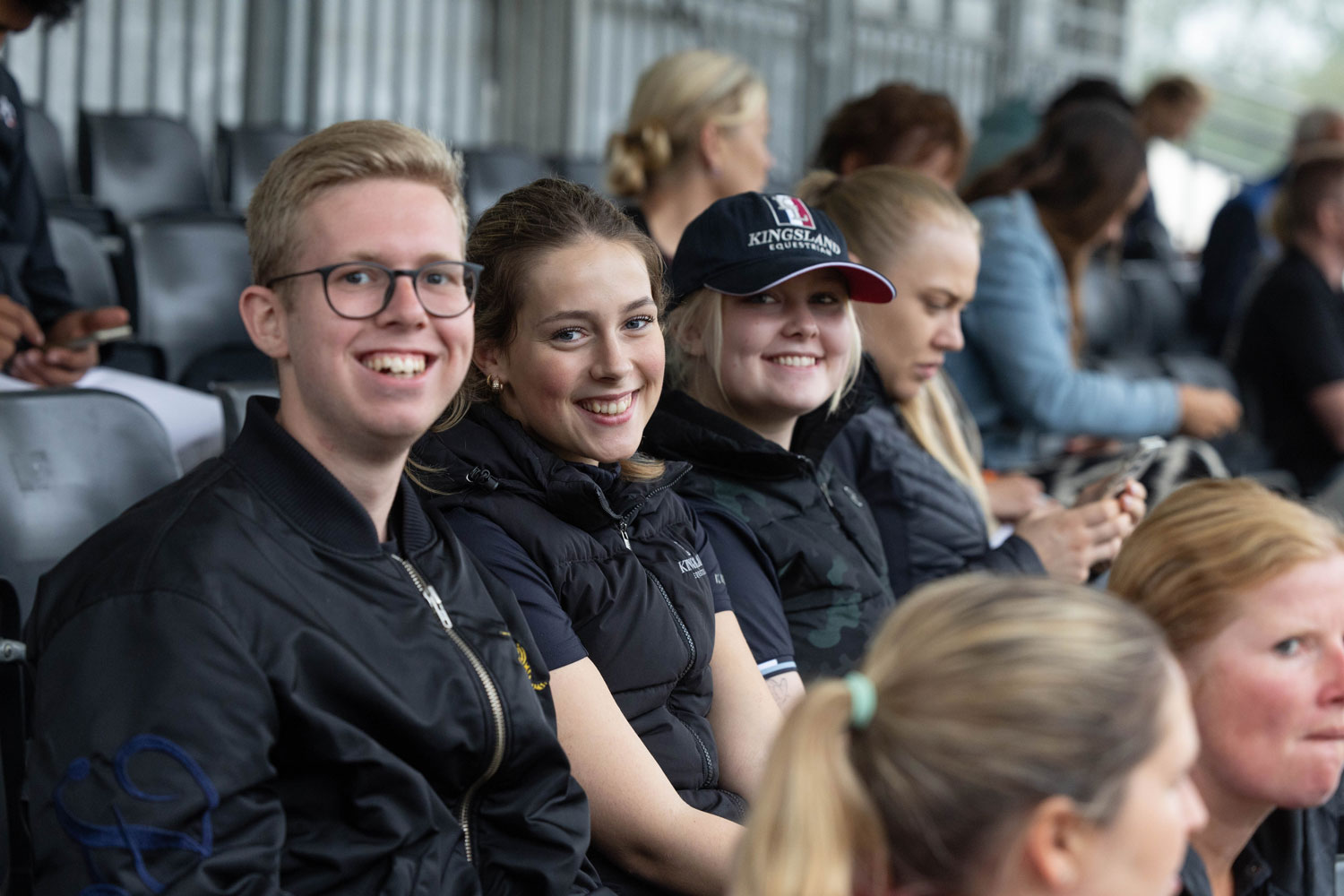 Elite dressage horses | Horses | Purchase of horses
